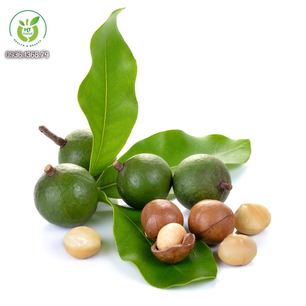 Công Dụng Của Hạt Macca | 7 Công Dụng Tuyệt Vời Của Hạt Macca
